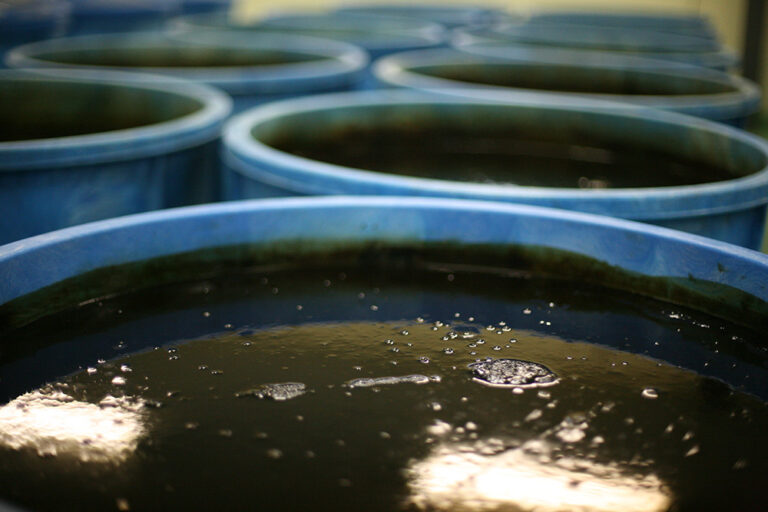 Homepage - Dr. Ohhira's OM-X Probiotic